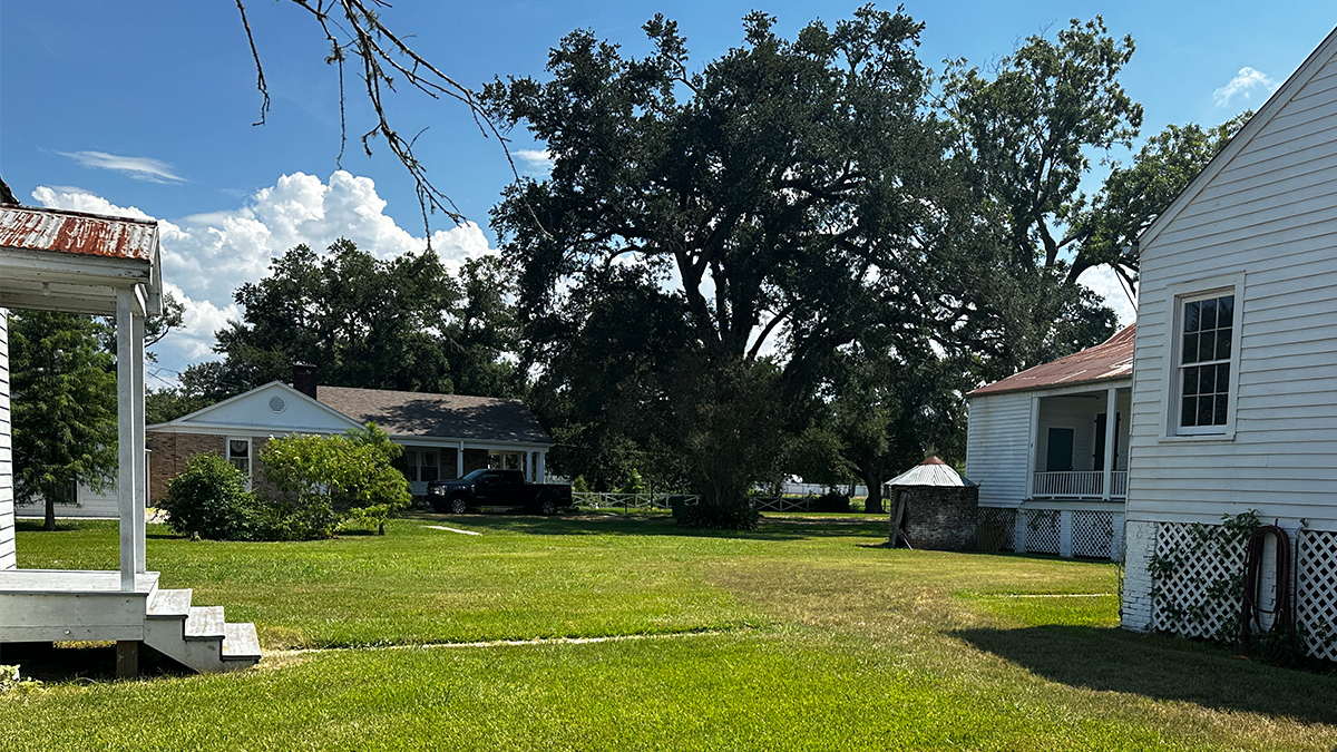 Woodland Plantation | TCLF