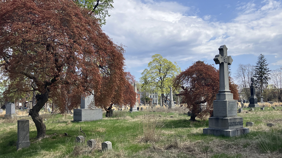 Spring Grove Cemetery - CT | TCLF