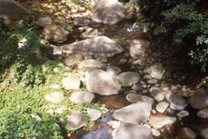 California Dream Personified: Val Verde | The Cultural Landscape Foundation