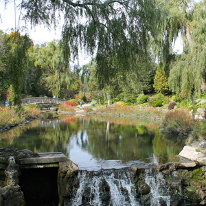 What's Out There Toronto Guide | The Cultural Landscape Foundation