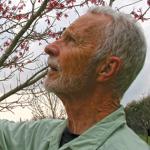 Designed Landscapes | TCLF