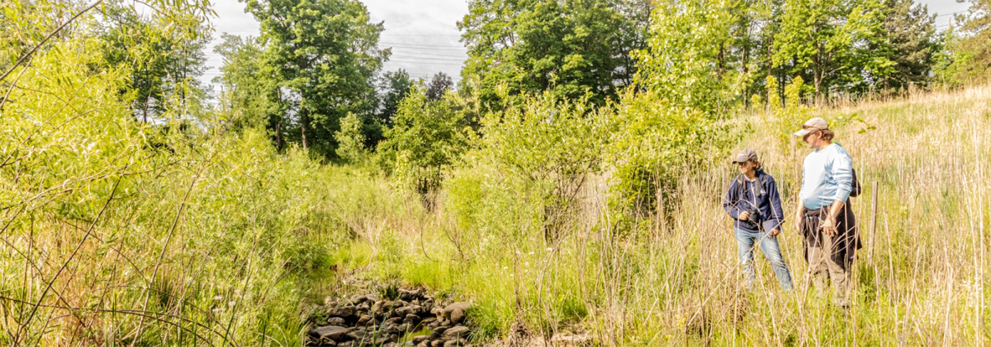 Acacia Reservation | TCLF