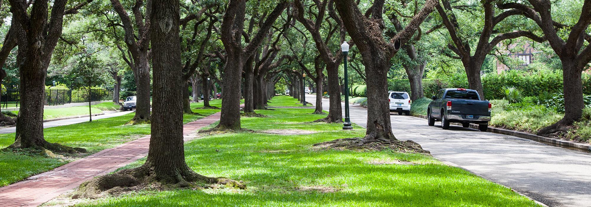 Houston | The Cultural Landscape Foundation