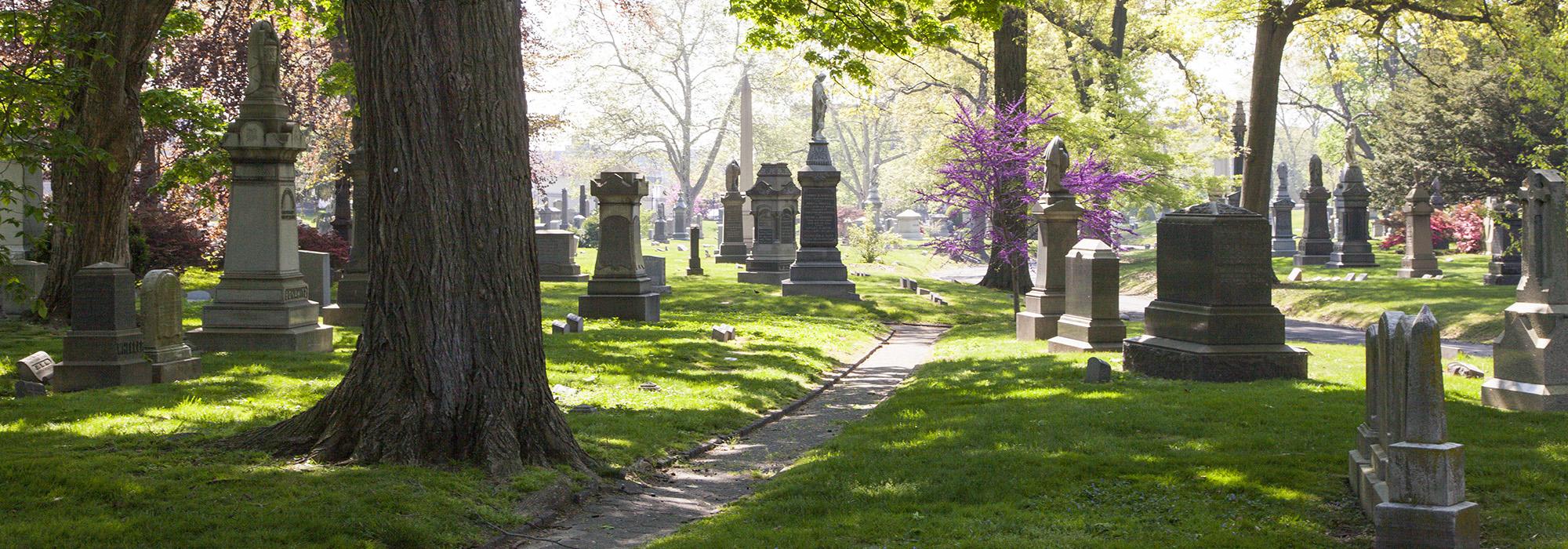 Grave Landscapes: Documenting America's Rural Cemeteries | The Cultural ...