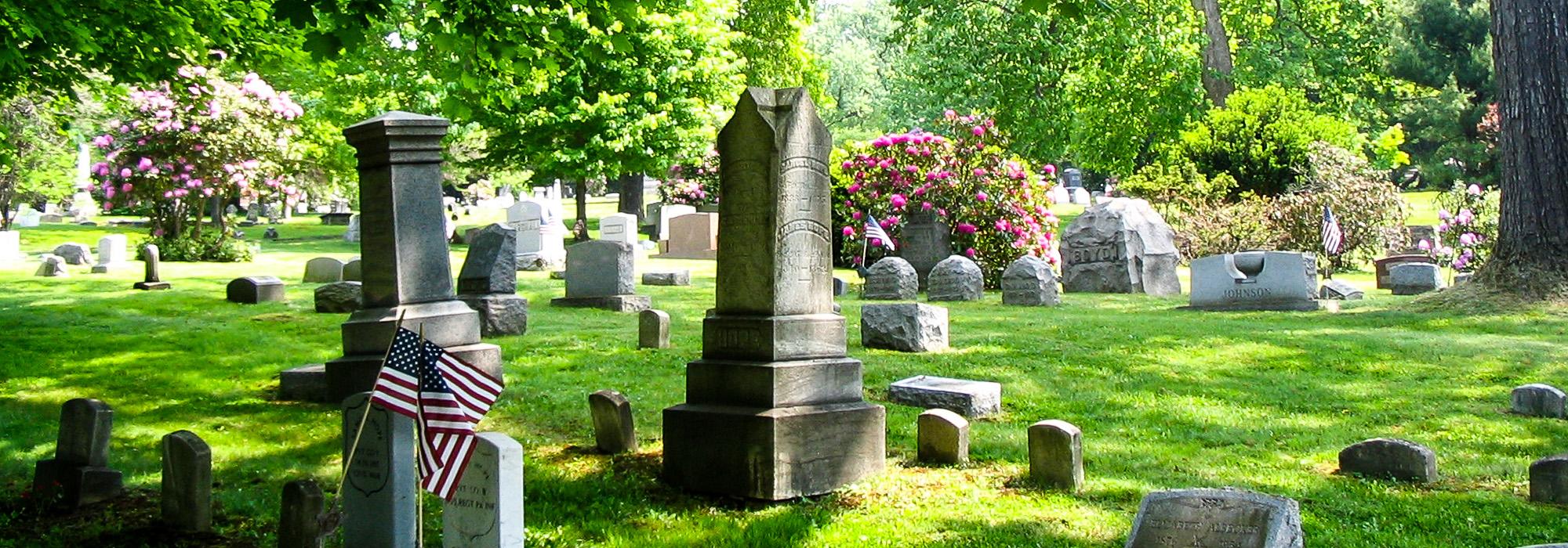 Greendale Cemetery rhododendrons almost at peak | The Cultural ...
