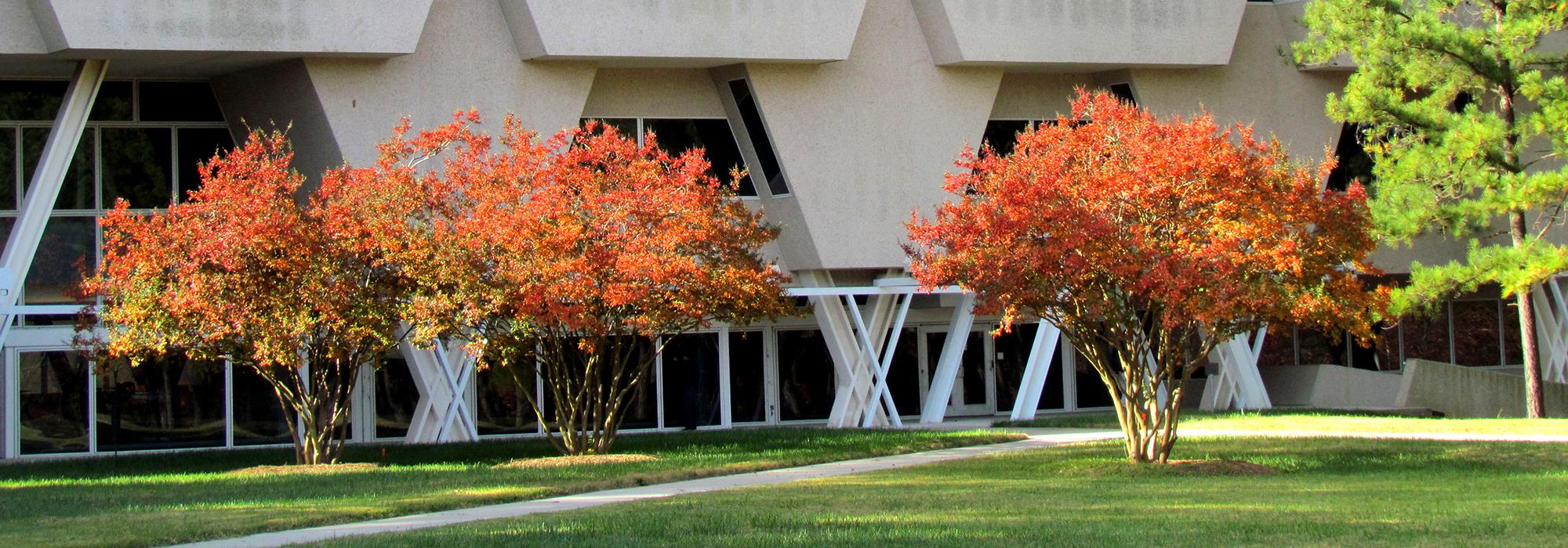 Research Triangle Park | TCLF