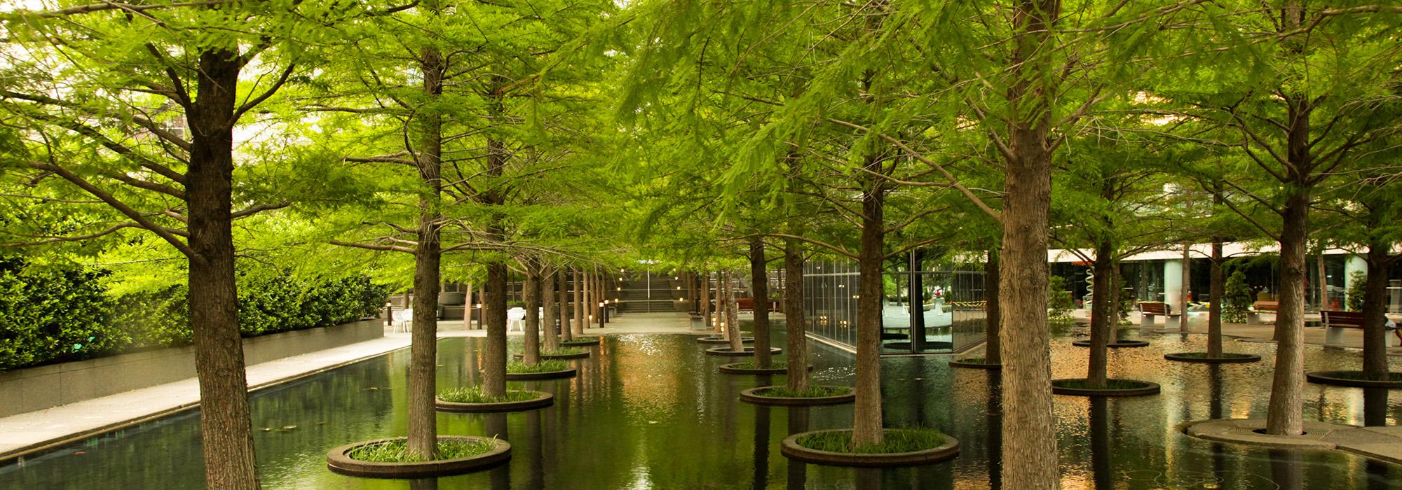 Shaping the Post-War Landscape | The Cultural Landscape Foundation