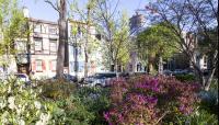 Fitler Square | The Cultural Landscape Foundation