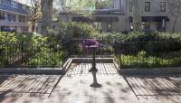 Fitler Square | The Cultural Landscape Foundation