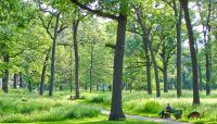 High Park | The Cultural Landscape Foundation