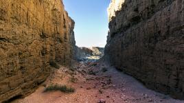 Quarry Amphitheatre at U.C. Santa Cruz Restored to Former Glory | TCLF