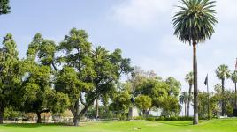 Pasadena Memorial Park | The Cultural Landscape Foundation