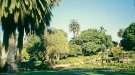 Alice Keck Park Memorial Gardens | The Cultural Landscape Foundation