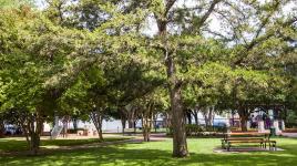 Central Square Park | The Cultural Landscape Foundation