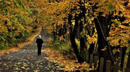 Fresh Meadows Park | The Cultural Landscape Foundation