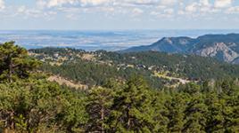 Genesee Park | The Cultural Landscape Foundation