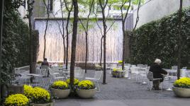 Paley Park | The Cultural Landscape Foundation