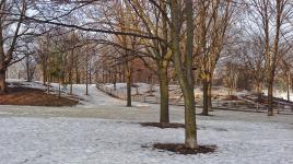 Withrow Park | The Cultural Landscape Foundation