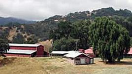 Working Landscapes: Ridgewood Ranch | The Cultural Landscape Foundation