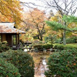 David Harris Engel | The Cultural Landscape Foundation