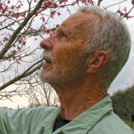 Charles R. Tapley | The Cultural Landscape Foundation