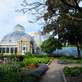 Edwin Taylor | The Cultural Landscape Foundation