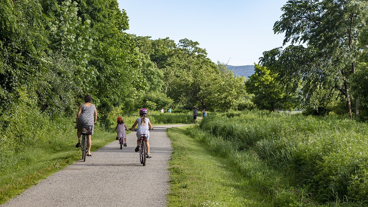 Long Dock Park | TCLF