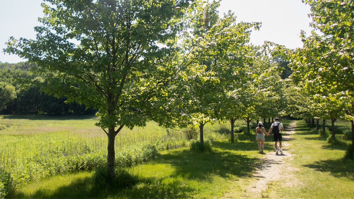 Dover Stone Church Preserve | TCLF