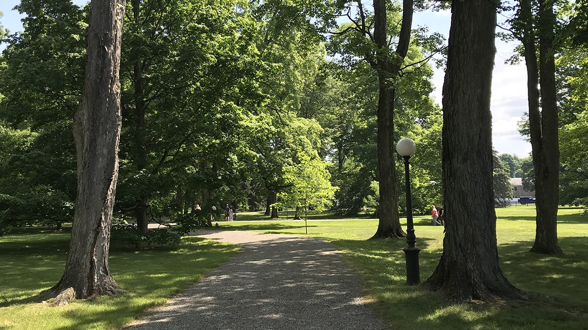 Locust Grove Estate | TCLF