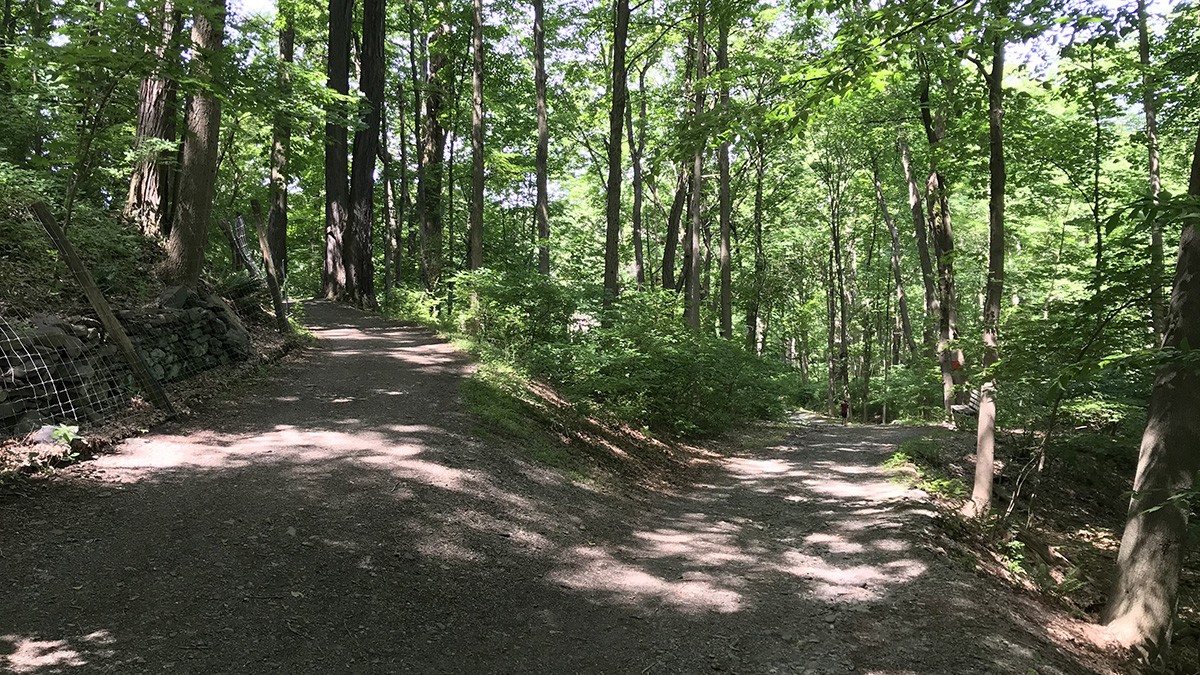 Locust Grove Estate | TCLF