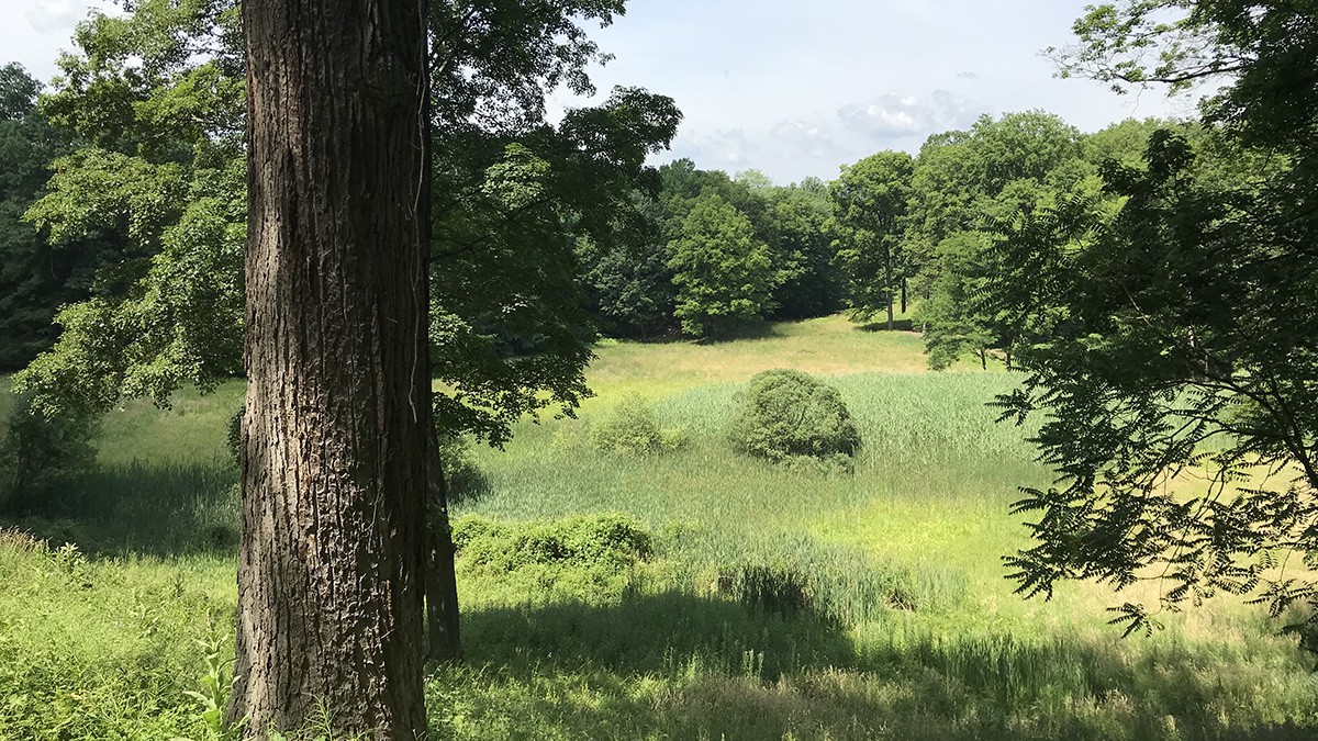 Locust Grove Estate | TCLF