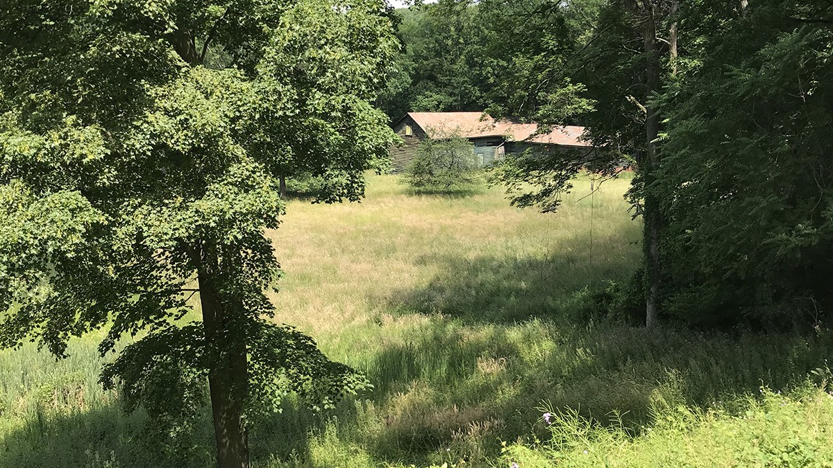 Locust Grove Estate | TCLF