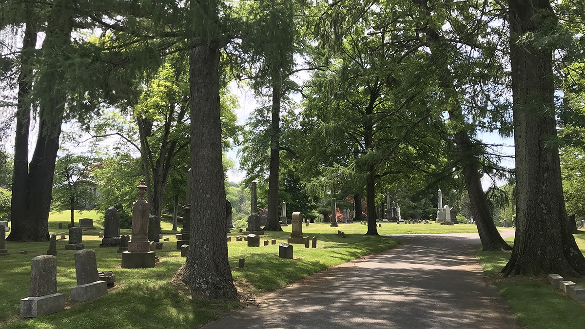 Howard Daniels | TCLF