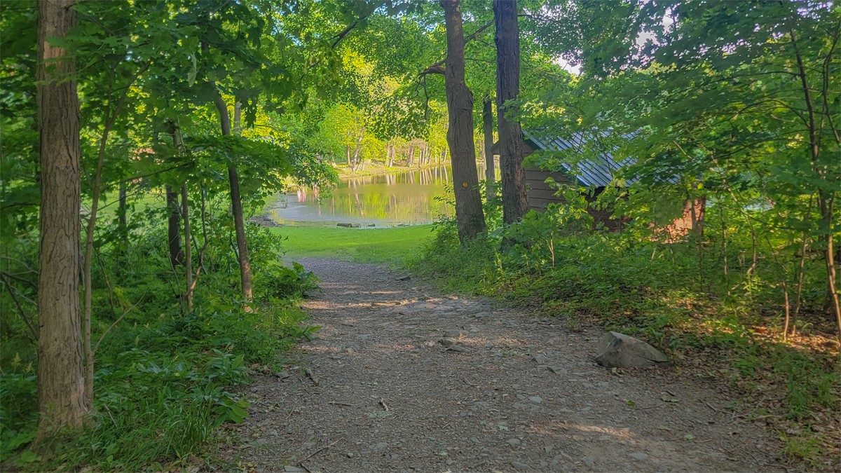 Ferncliff Forest | TCLF