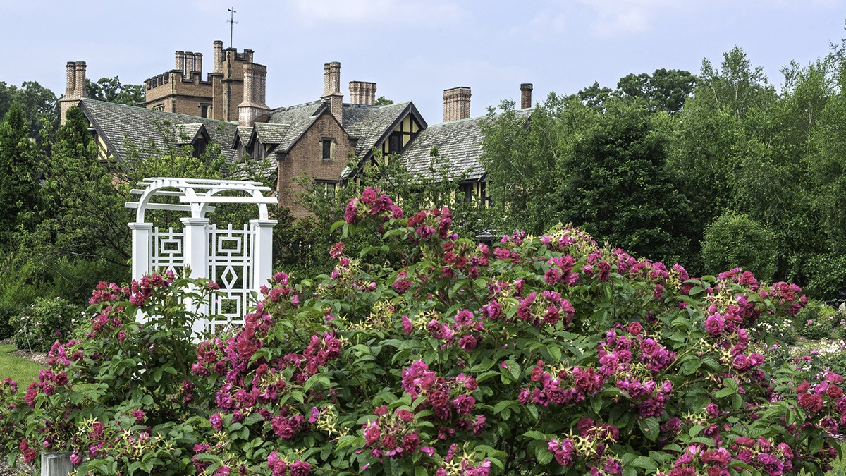 Stan Hywet Hall and Gardens | TCLF