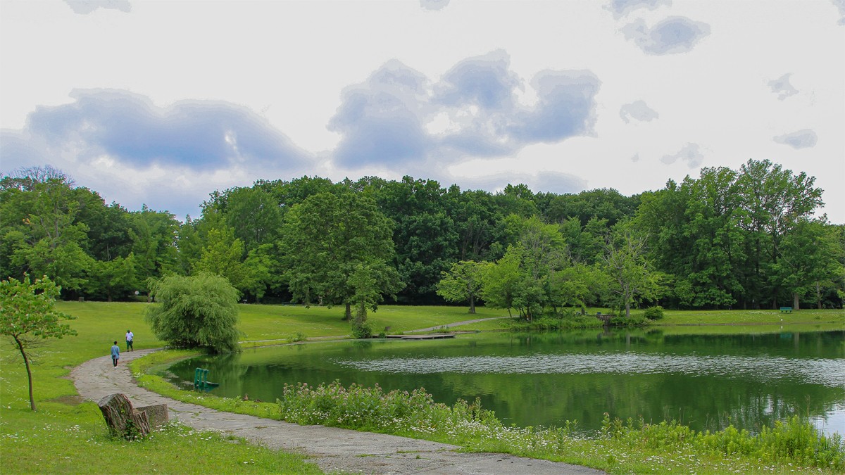 Forest Hill Park - OH | TCLF