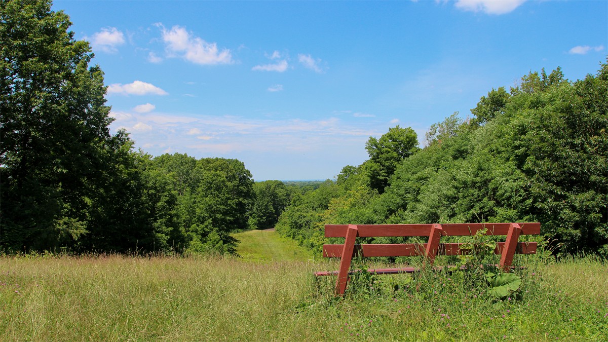 Forest Hill Park - OH | TCLF
