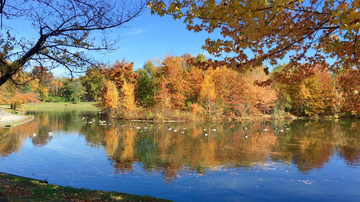 Forest Hill Park - OH | TCLF