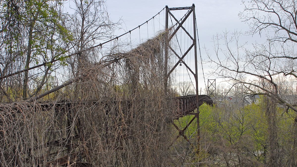 Sidaway Bridge | TCLF