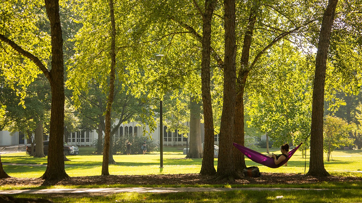 Oberlin College | TCLF