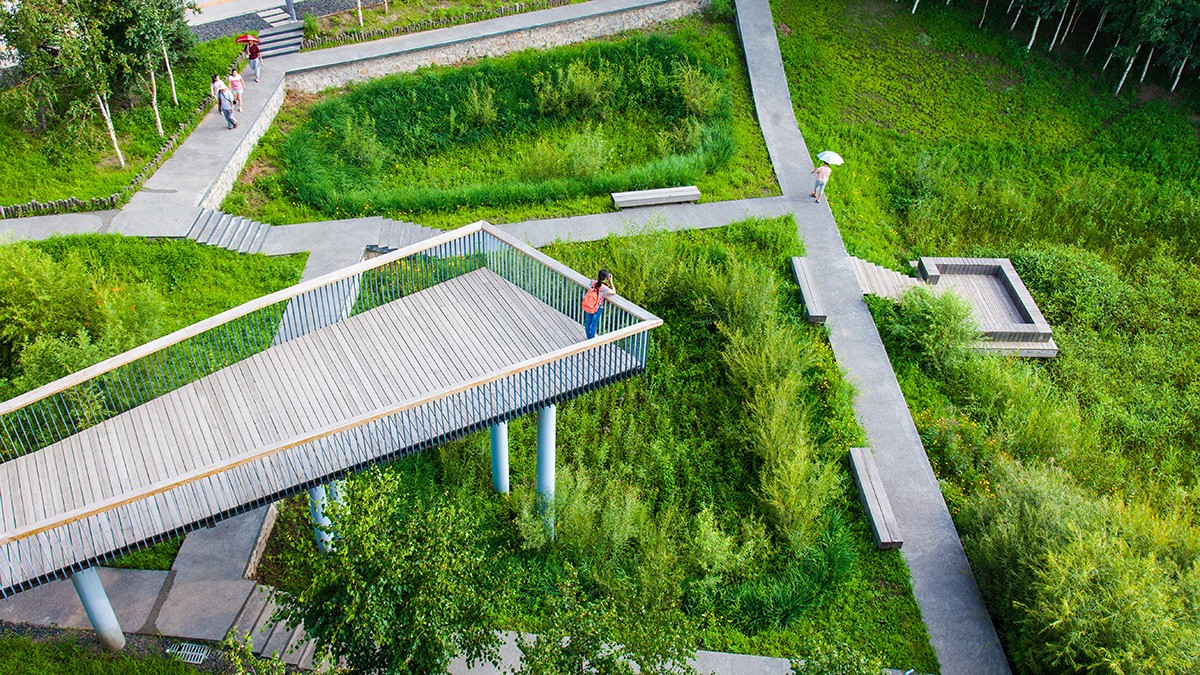 Harbin Qunli Stormwater Park | TCLF