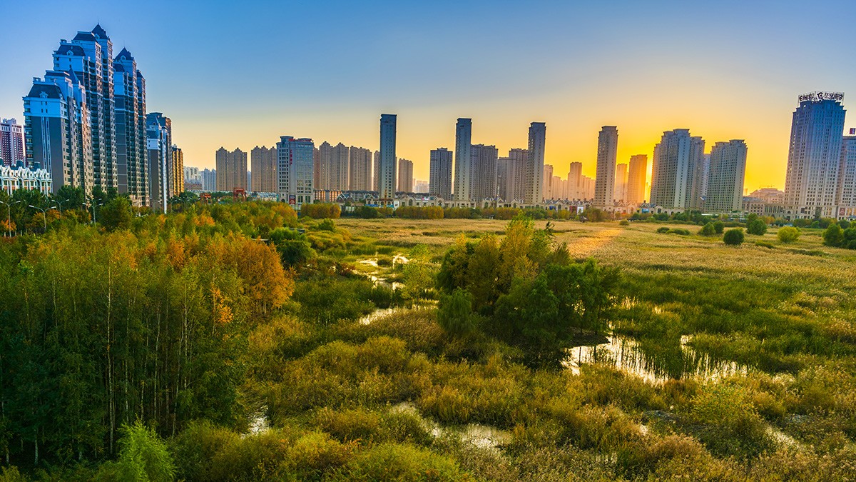 Harbin Qunli Stormwater Park | TCLF