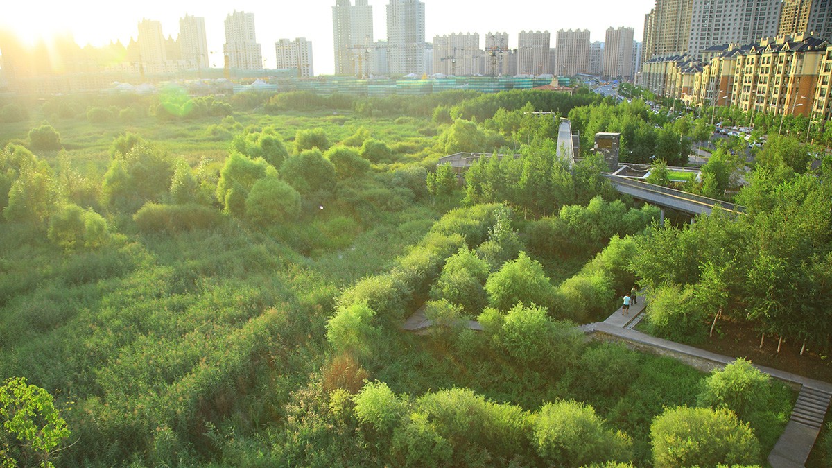 Harbin Qunli Stormwater Park | TCLF