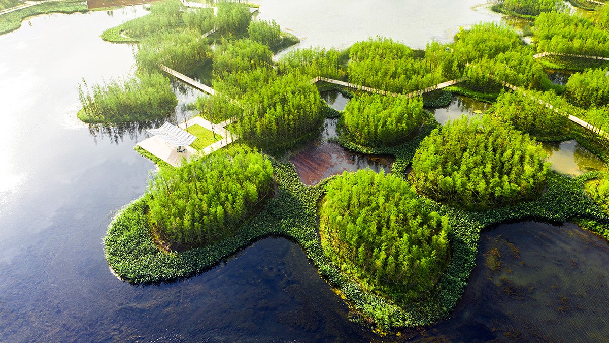 Nanchang Fish Tail Park | TCLF