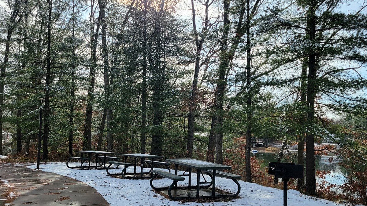 Idlewild Historic District | TCLF