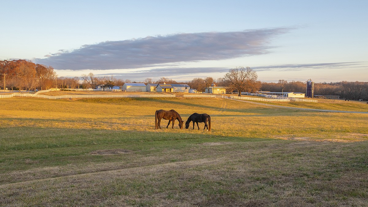 North Carolina Agricultural & Technical State University | TCLF