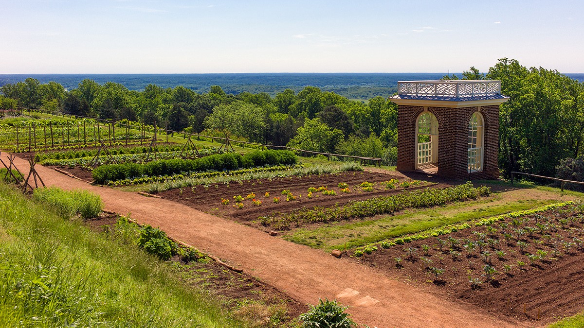 Wormley Hughes | TCLF