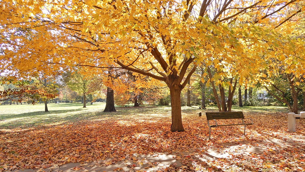 Gillson Park and Wilmette Harbor Historic District | TCLF