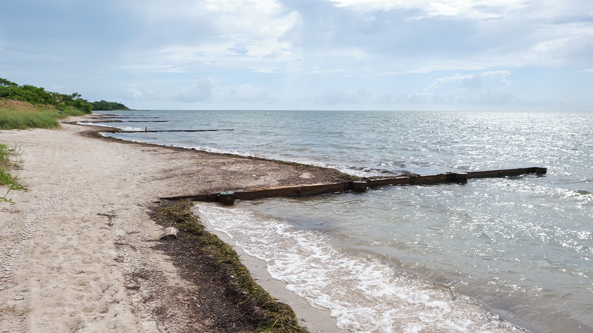 Historic Virginia Key Beach Park | TCLF