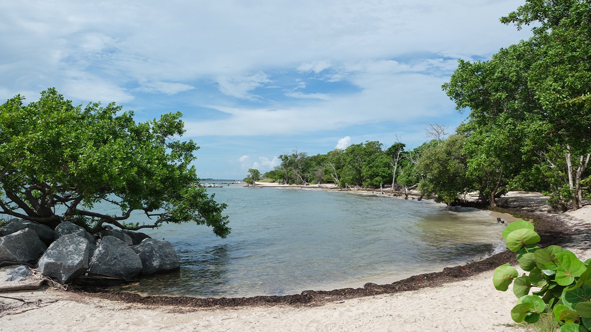 Historic Virginia Key Beach Park | TCLF